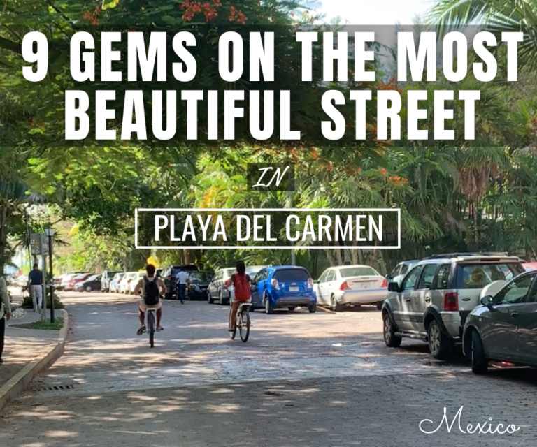 Discover 9 Gems On Playa del Carmen's Most Beautiful Street